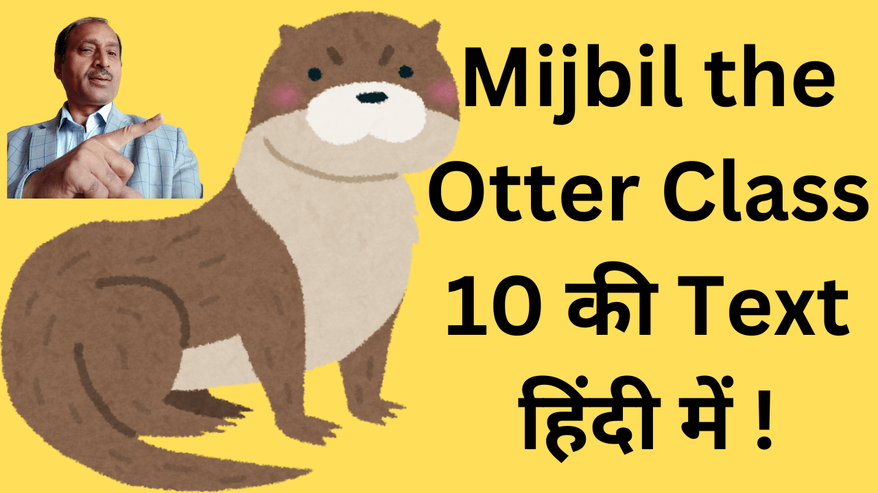NCERT Solution of Mijbil the Otter Class 10 English - ReadLearnExcel